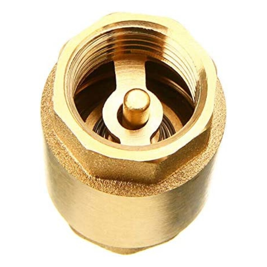 Mueller ProLine 3/4 in. D X 3/4 in. D Brass Spring Loaded Check Valve ...