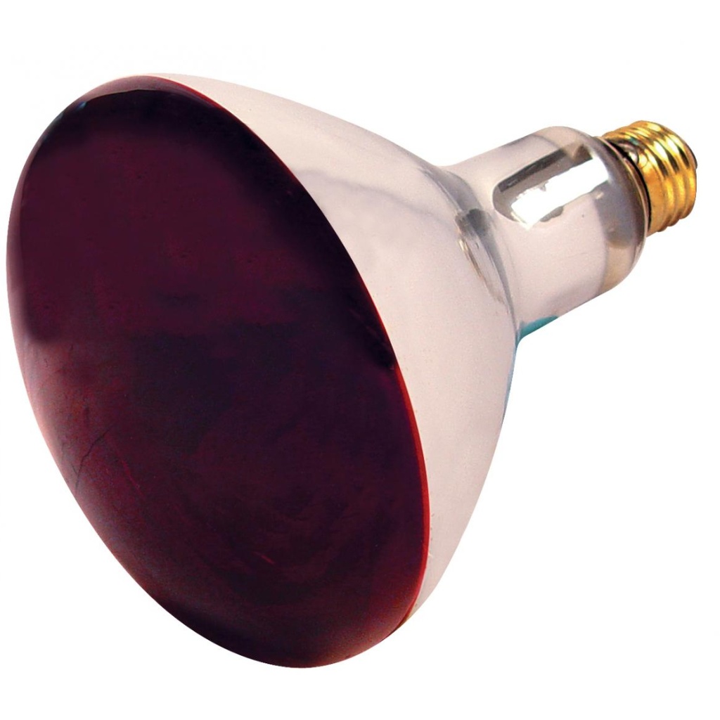 Satco 250 Watt R40 Heat Lamp Incandescent Bulb E26 (Medium) Red 1 Pack ...